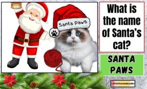 10 Funny December Jokes for Kids (Christmas, Winter, Santa)